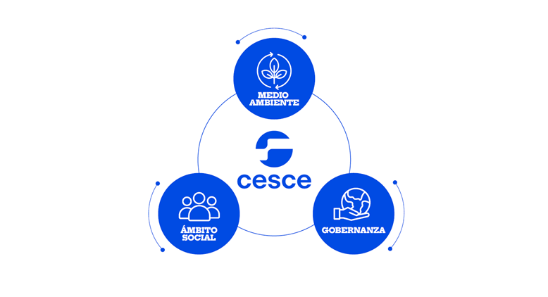Nuestro enfoque en sostenibilidad: como creamos valor responsable en ...