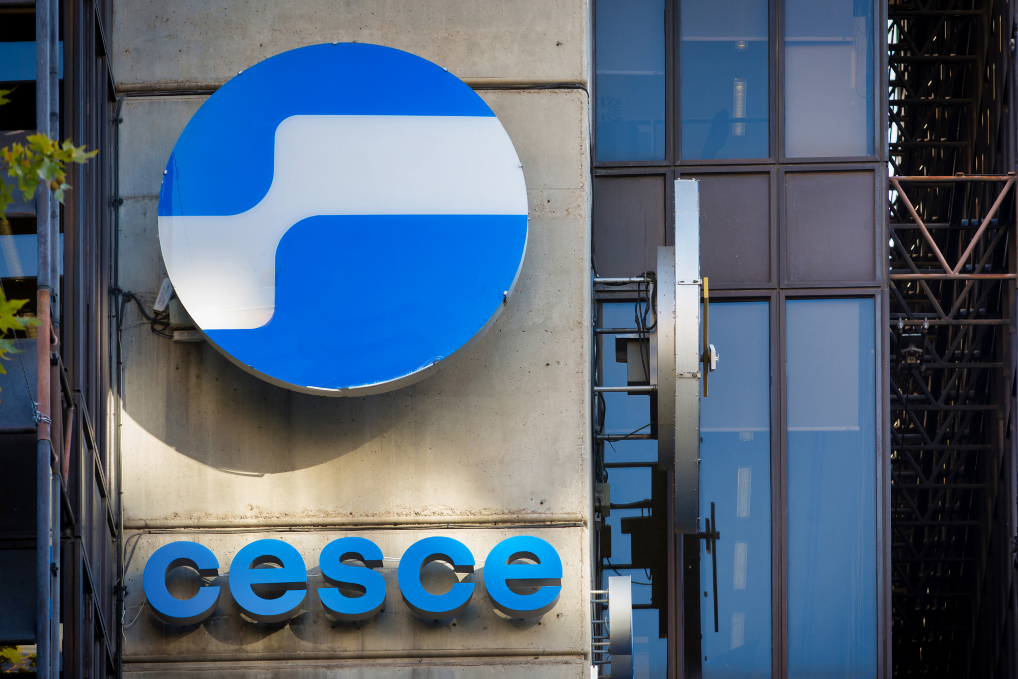 Cesce se suma a la celebración del Día de la Mujer y reafirma su ...